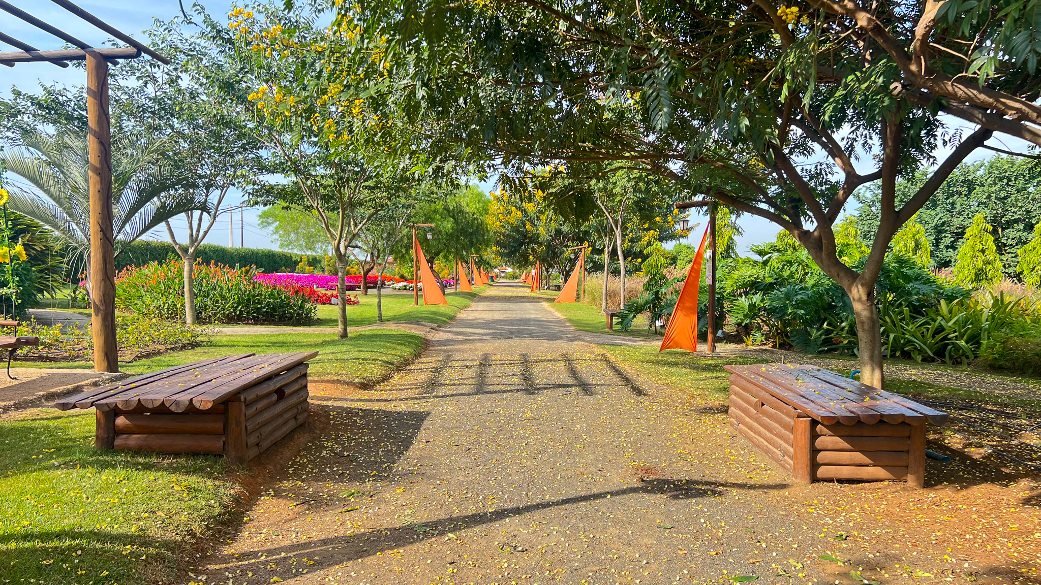 Bloemen Park: Conheça o Parque das Flores de Holambra