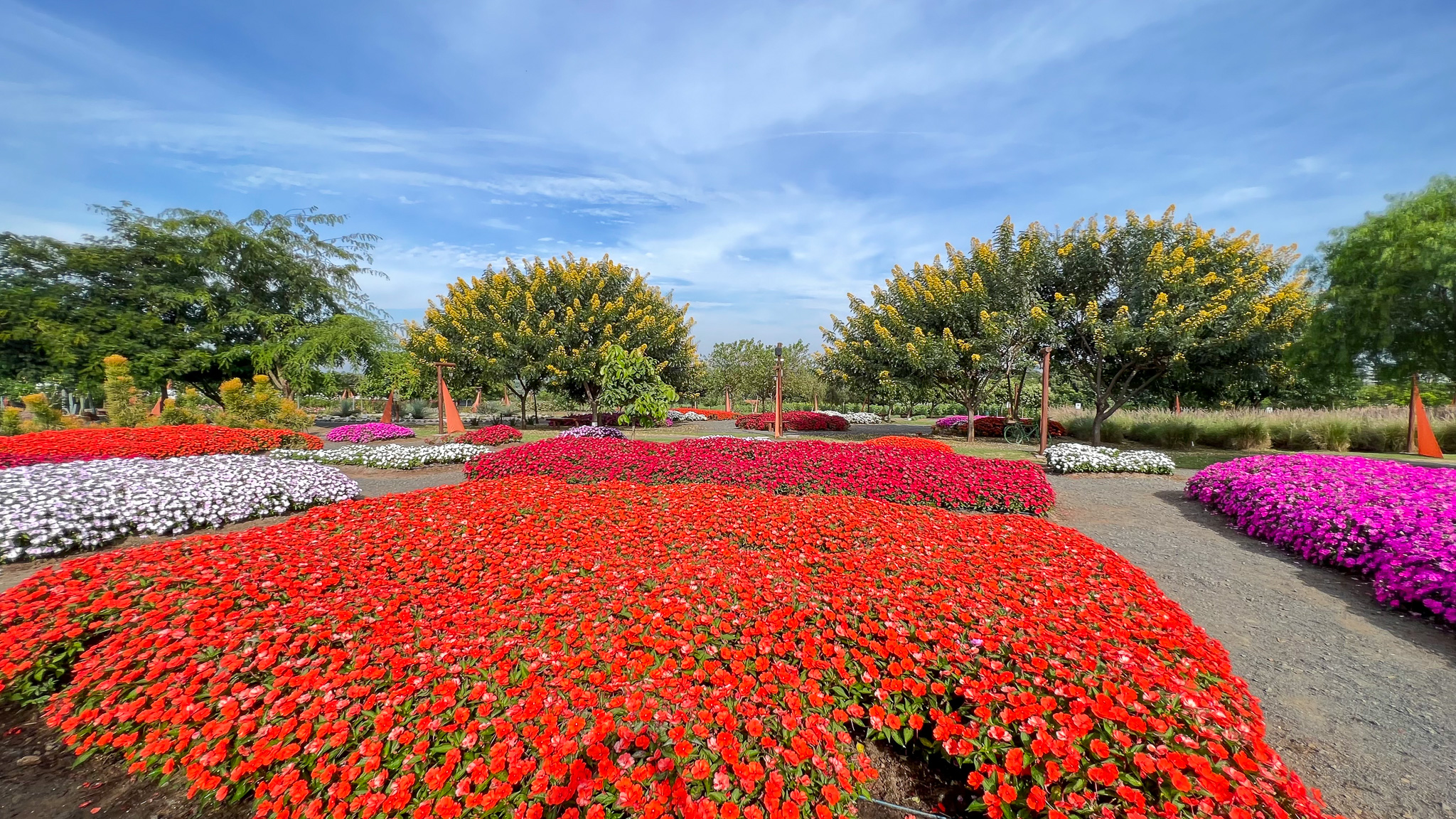 Holambra: Tudo Sobre a Cidade das Flores | 2023