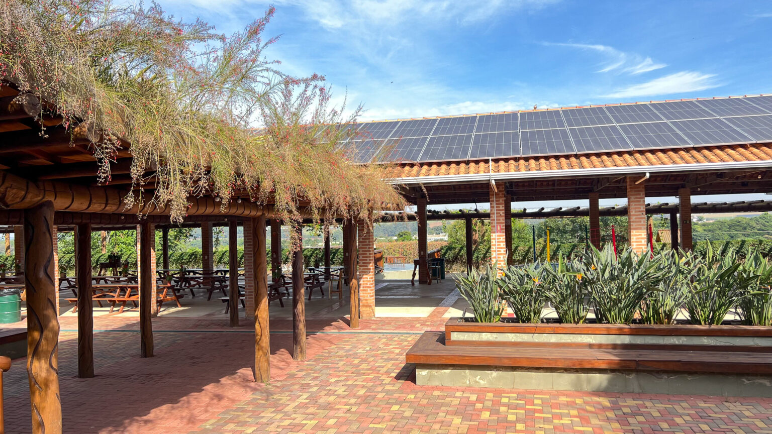 Bloemen Park: Conheça o Parque das Flores de Holambra