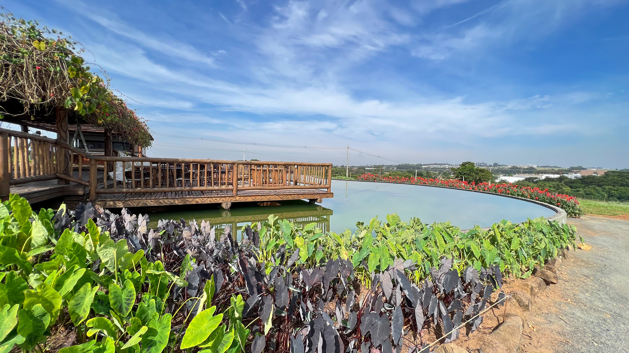 Bloemen Park: Conheça o Parque das Flores de Holambra