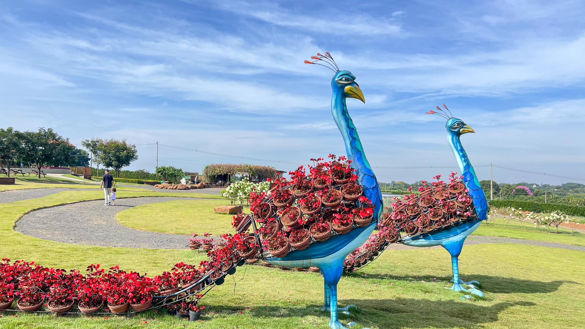 Bloemen Park: Conheça o Parque das Flores de Holambra