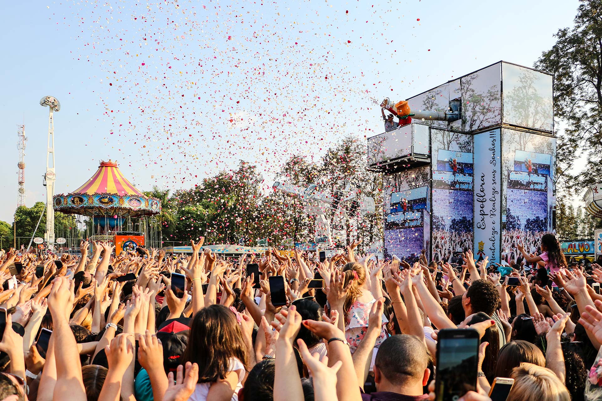 Expoflora 2024: tudo sobre a Festa das Flores de Holambra