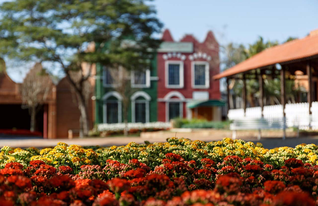 Expoflora 2024: tudo sobre a Festa das Flores de Holambra